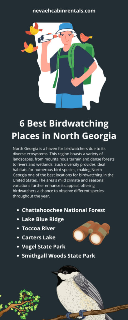 6 Best Birdwatching Places in North Georgia