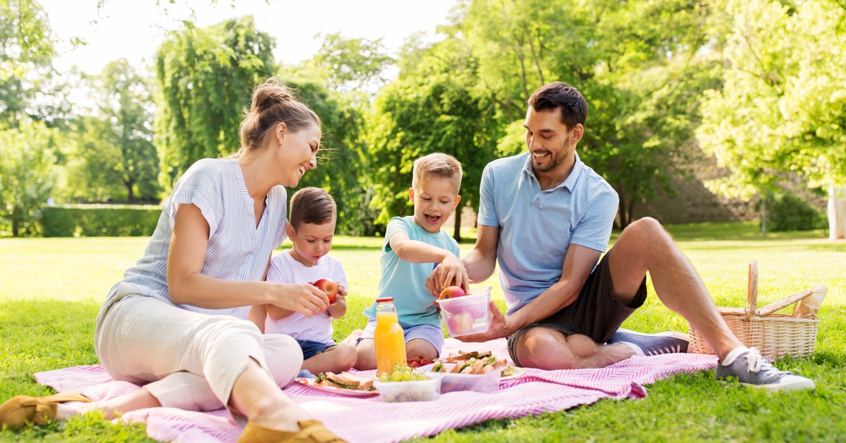 A Closer Look at the Best Picnic Spots in Blue Ridge